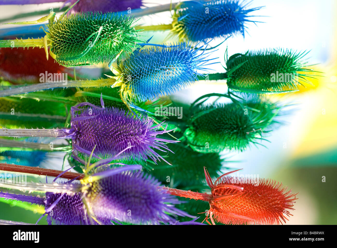 Bubble headed hi-res stock photography and images - Alamy
