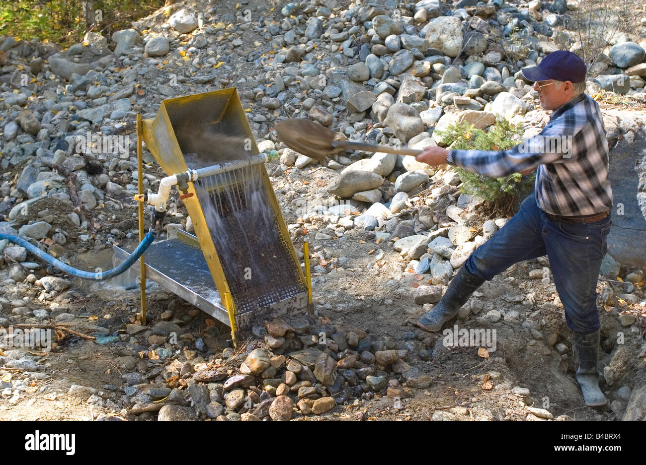 Prospector shovelling gravel into a highbanker Stock Photo - Alamy