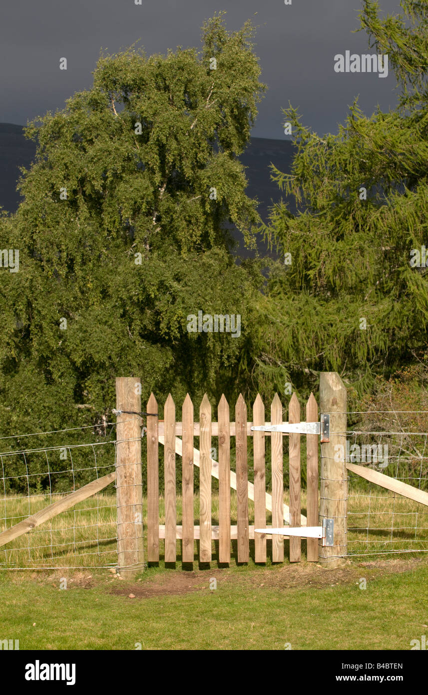 Field gate sky hi-res stock photography and images - Alamy