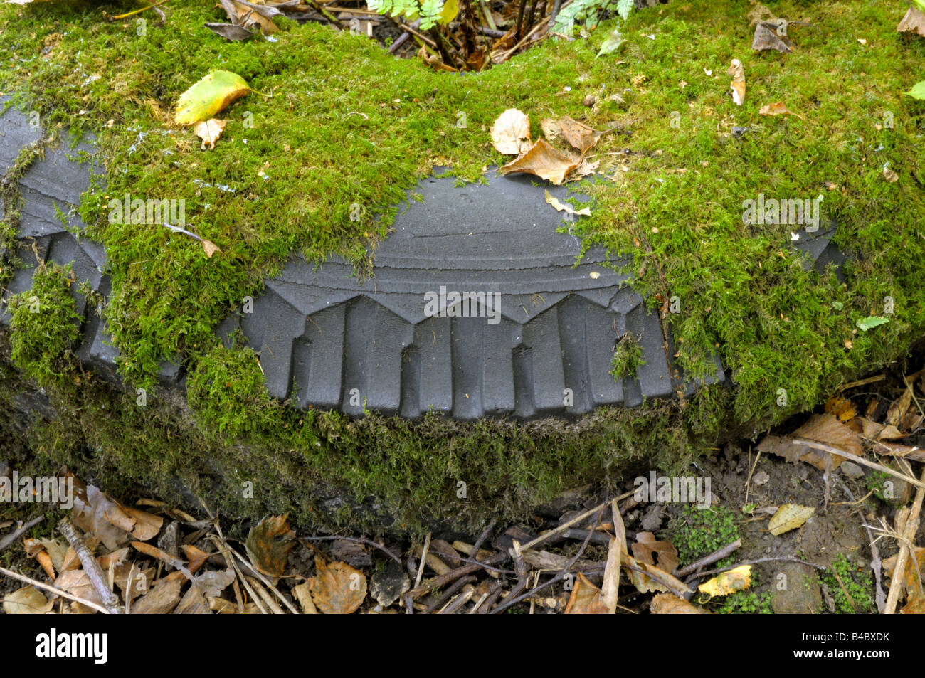 An old discarded car or lorry tyre with moss growing on it Stock Photo - Alamy