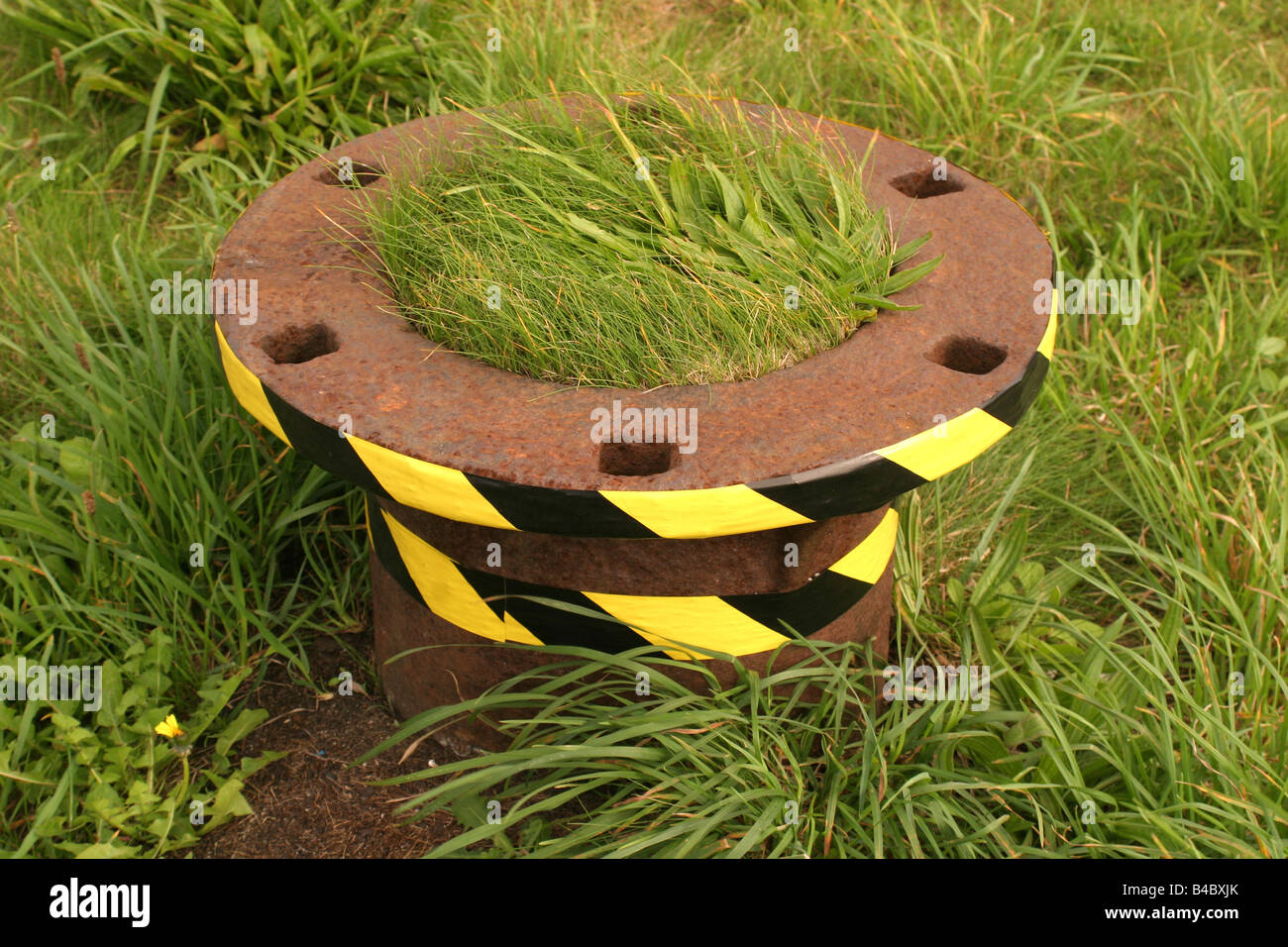 Weird circular metal thingy with grass Stock Photo - Alamy