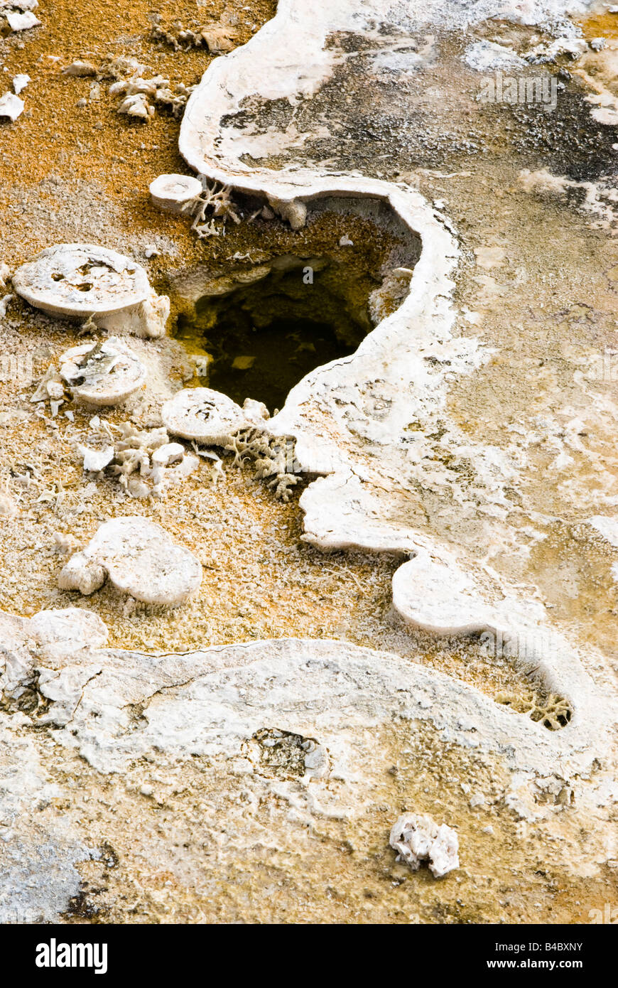 abstract patterns in the thermal hot springs in Yellowstone National ...