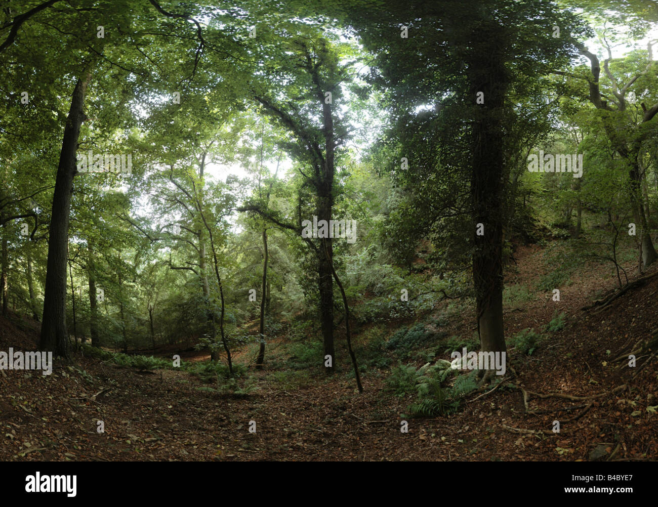 Moel y golfa hi-res stock photography and images - Alamy