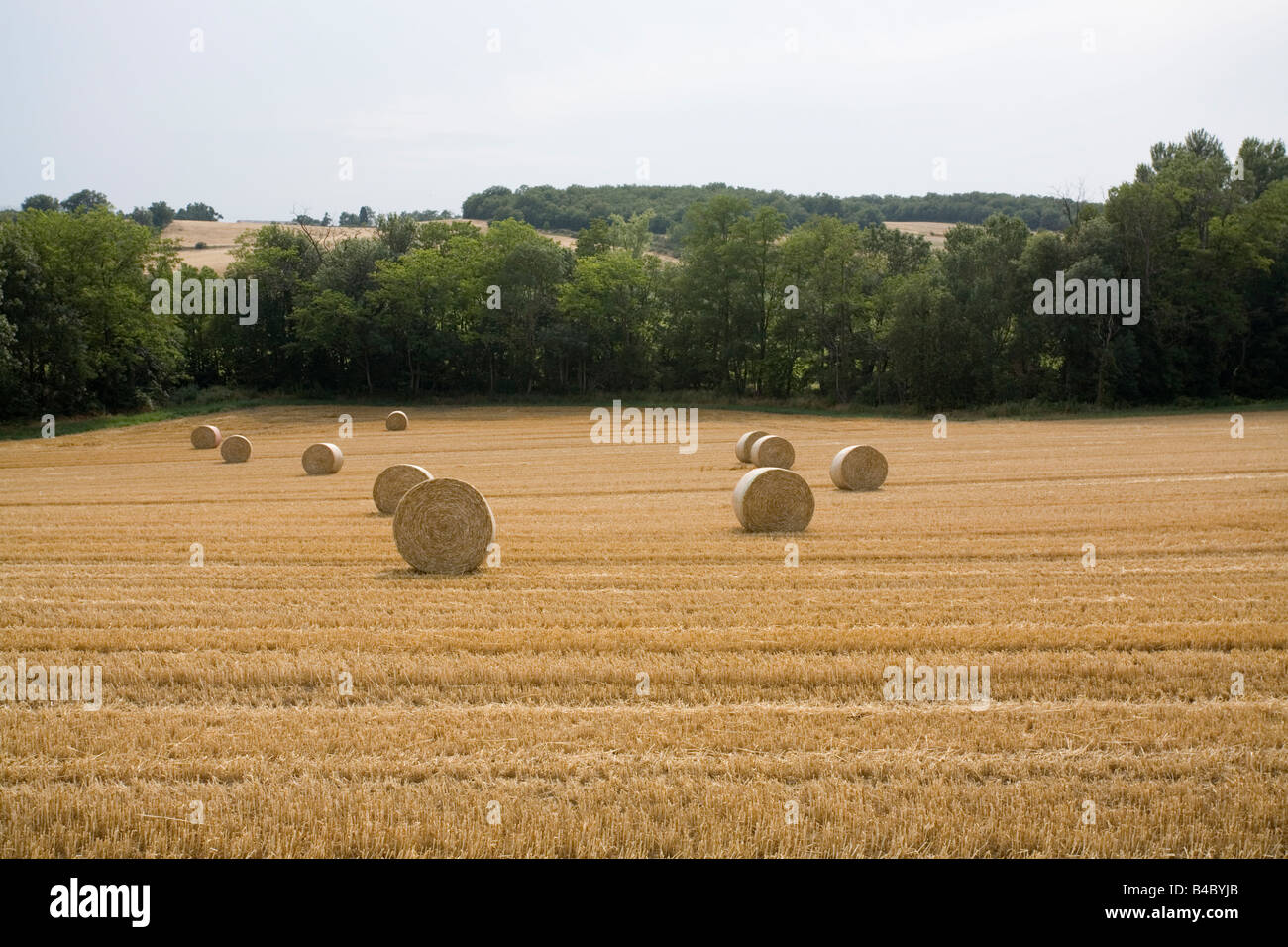 rolls of hay in French countryside Stock Photo - Alamy