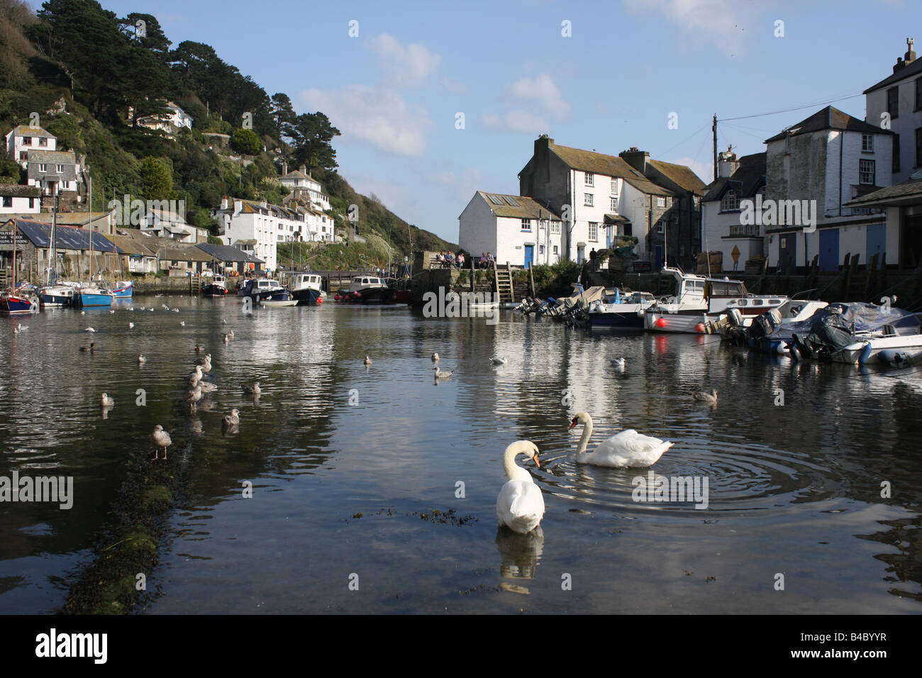polperro harbour cornwall england Stock Photo - Alamy