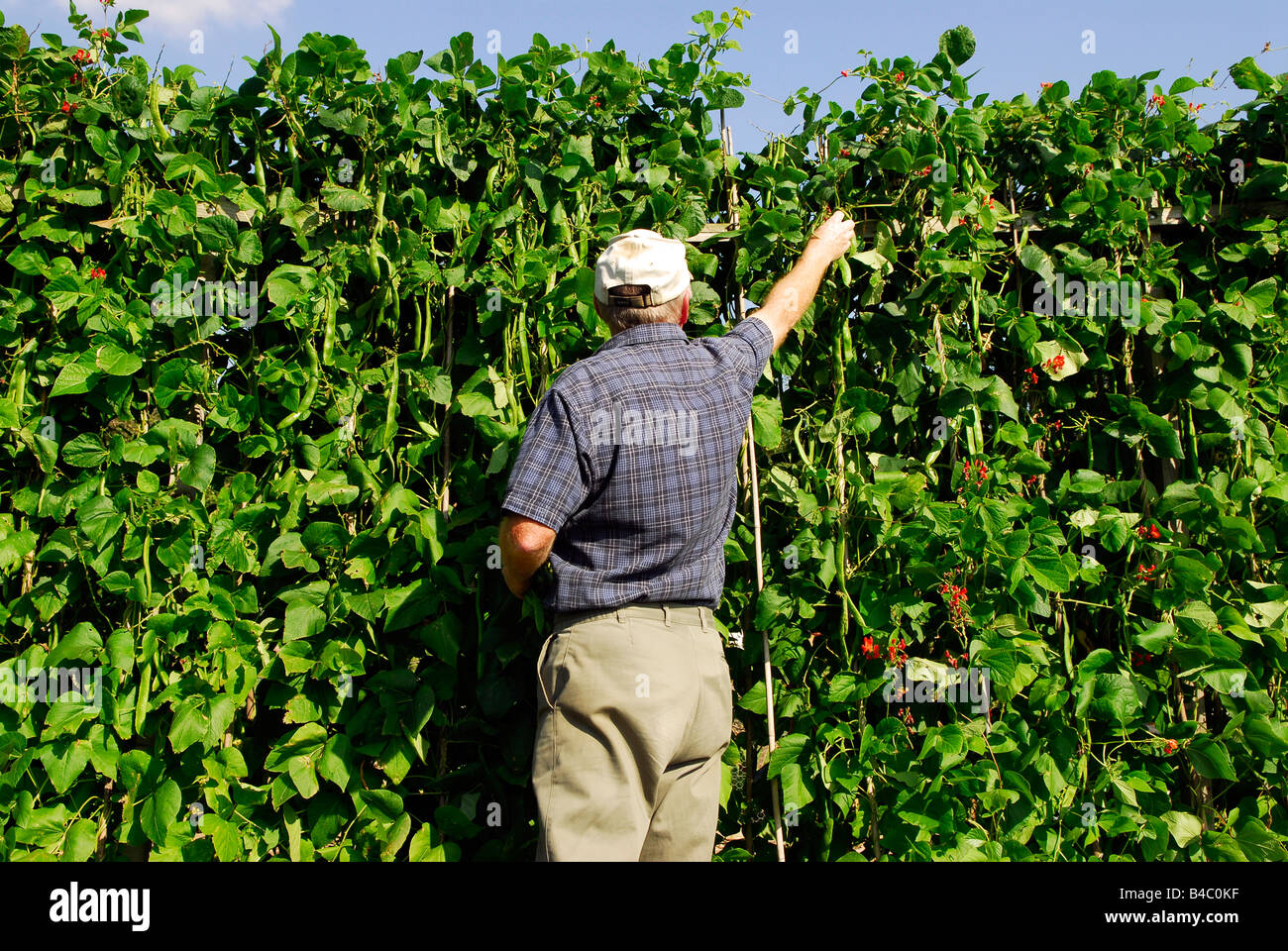 Ageing runner hi-res stock photography and images - Alamy