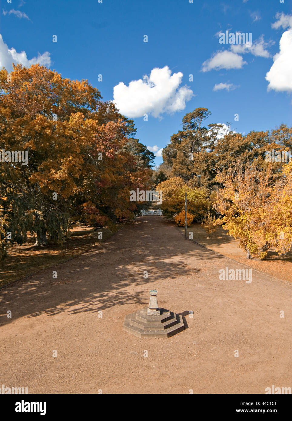 Tree lined garden path hi-res stock photography and images - Alamy