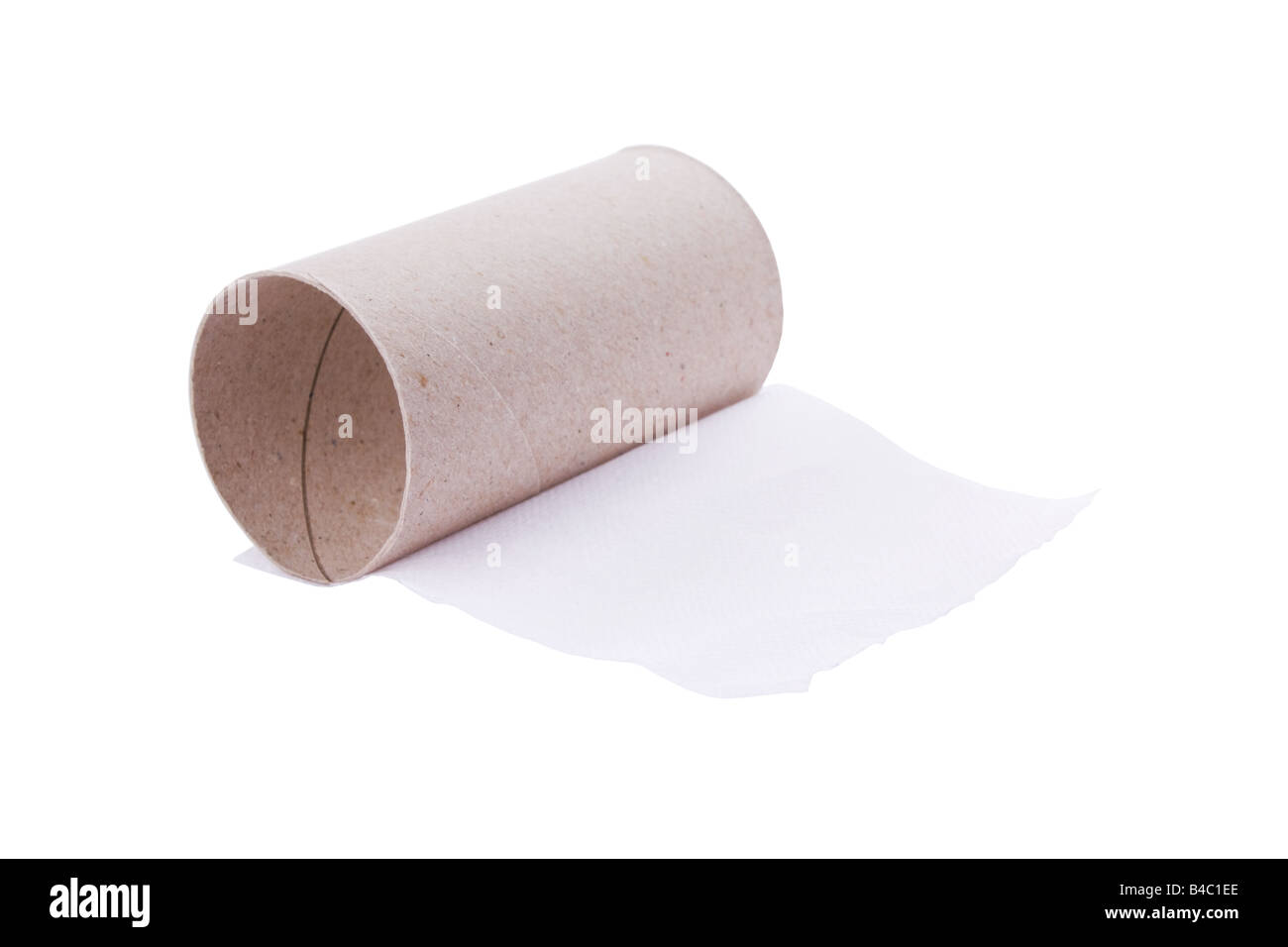 Empty Toilet Paper Roll