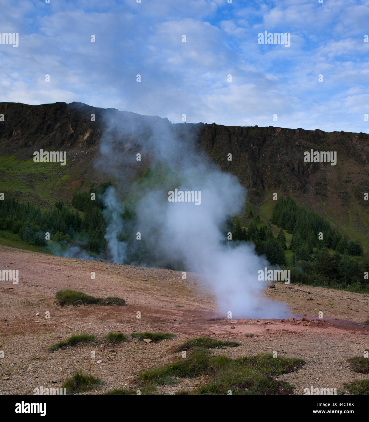 New sprouting geothermal geysers and bore holes from recent earthquake ...