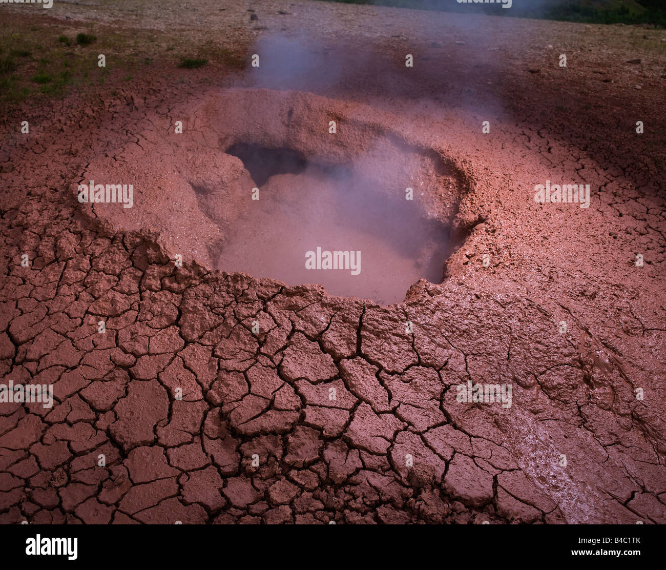 New sprouting geothermal geysers and bore holes from recent earthquake ...