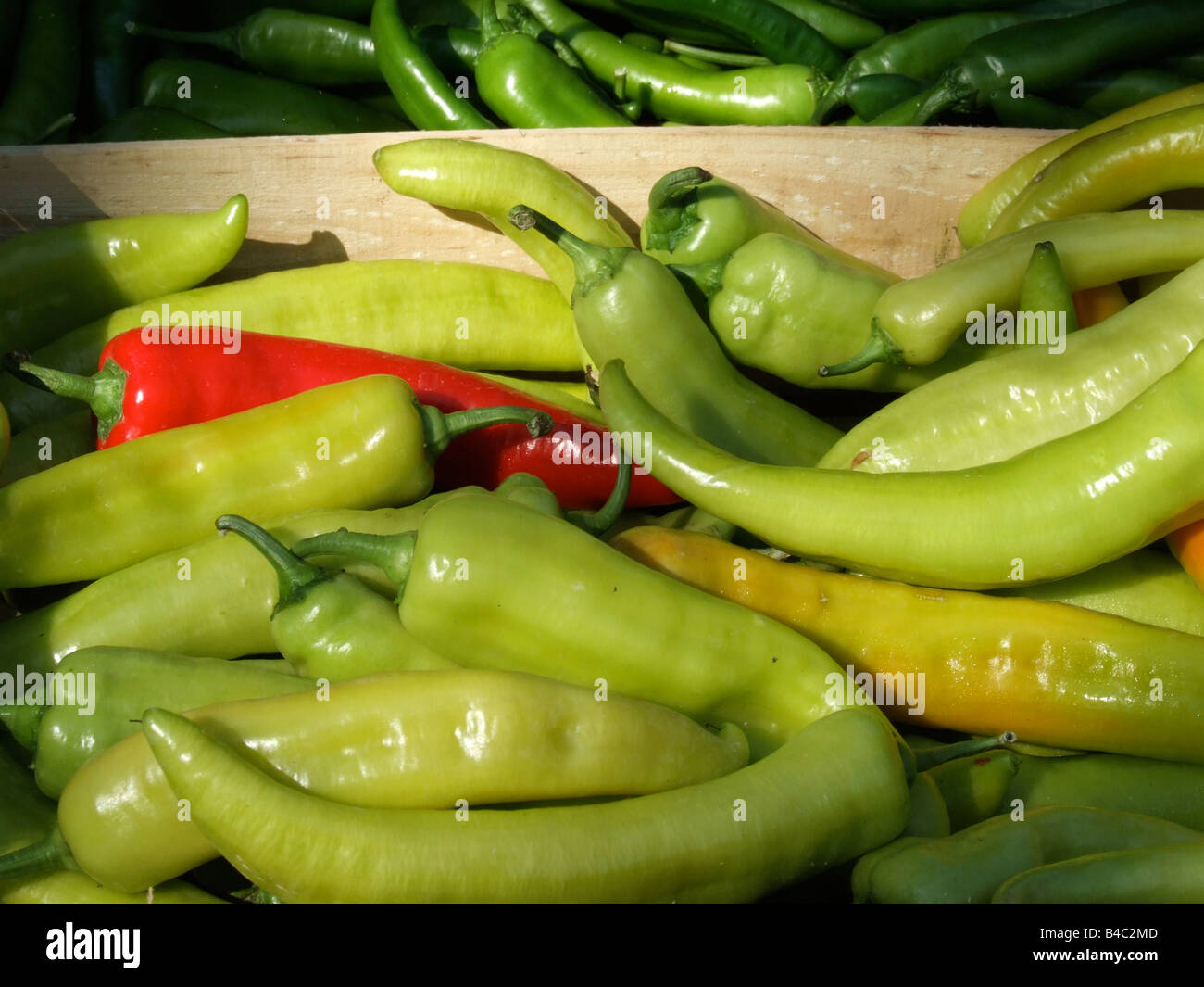 Box fresh red chillies hi-res stock photography and images - Alamy