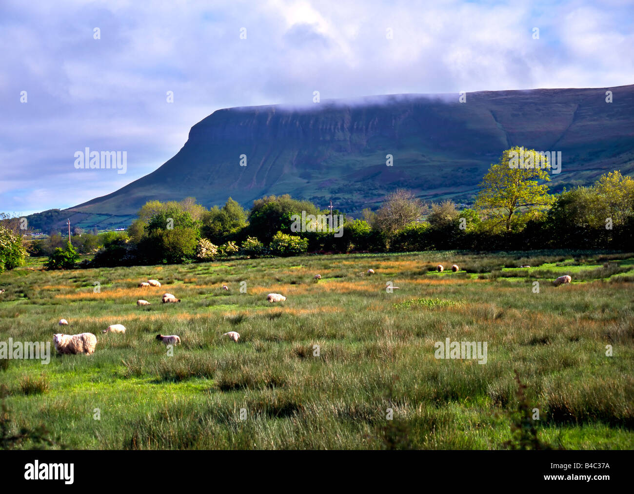Ben bulben in county sligo hi-res stock photography and images - Alamy