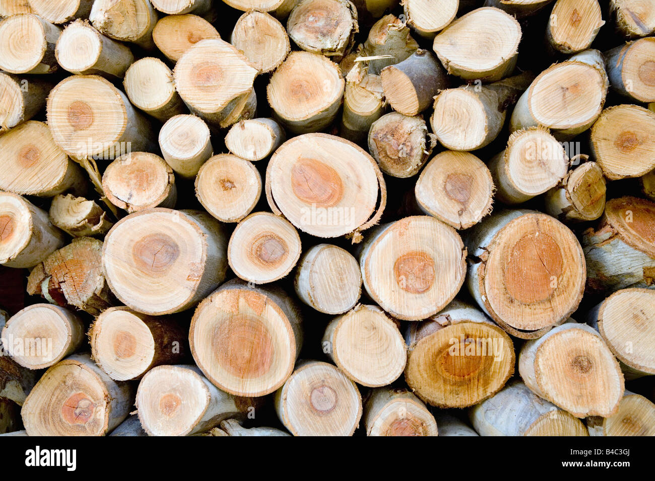 Stack of firewood Stock Photo - Alamy