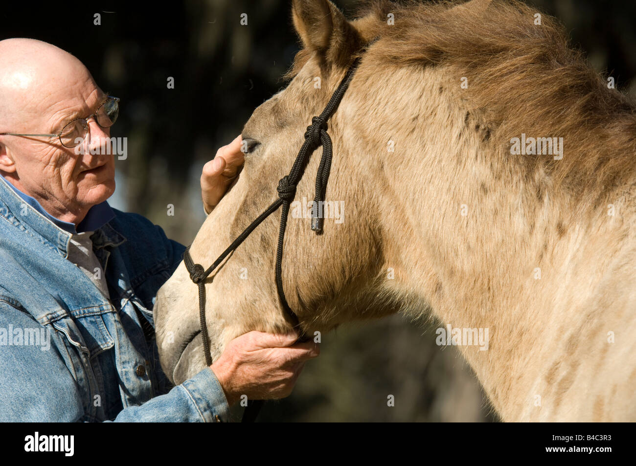 Old man with horse hi-res stock photography and images - Alamy