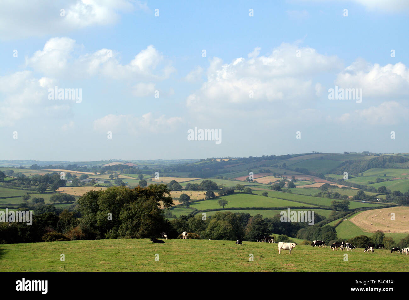 Devon countryside autumn hi-res stock photography and images - Alamy