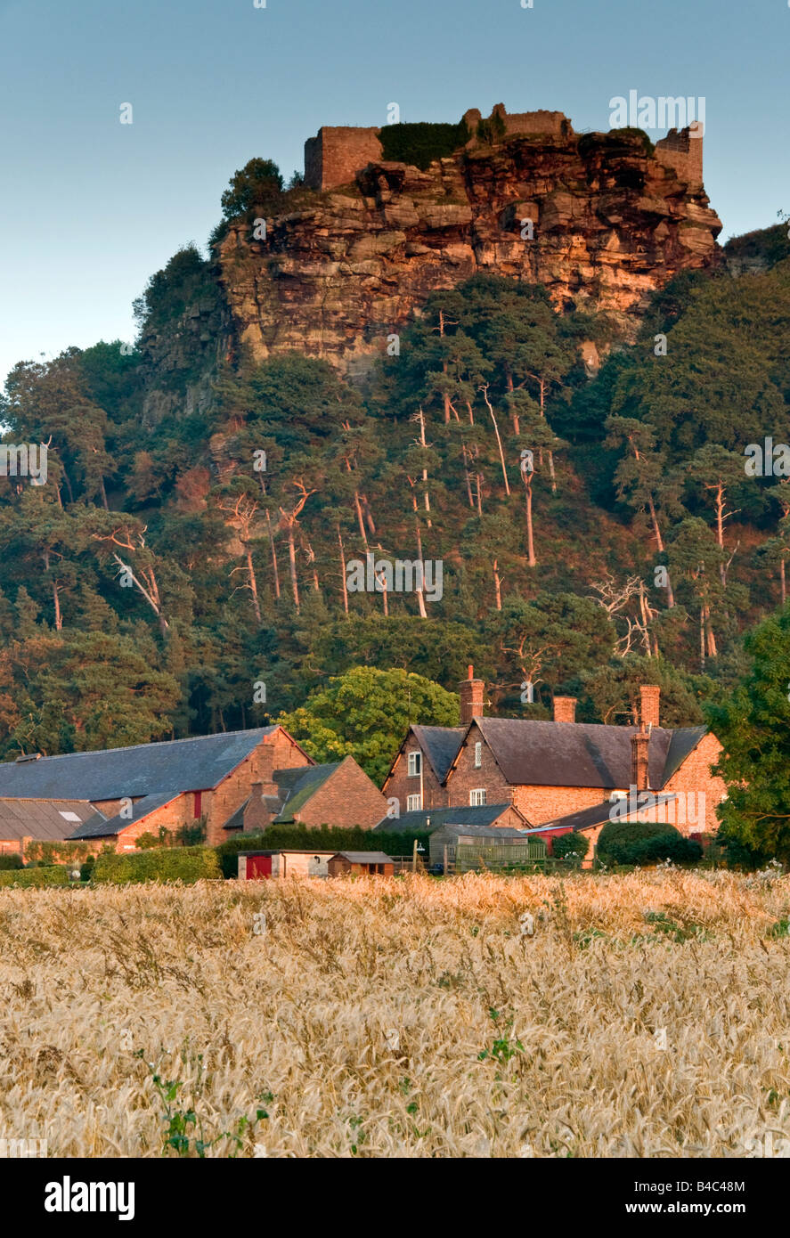 Wheat Field & The Home Farm Below Beeston Castle, Beeston, Cheshire ...