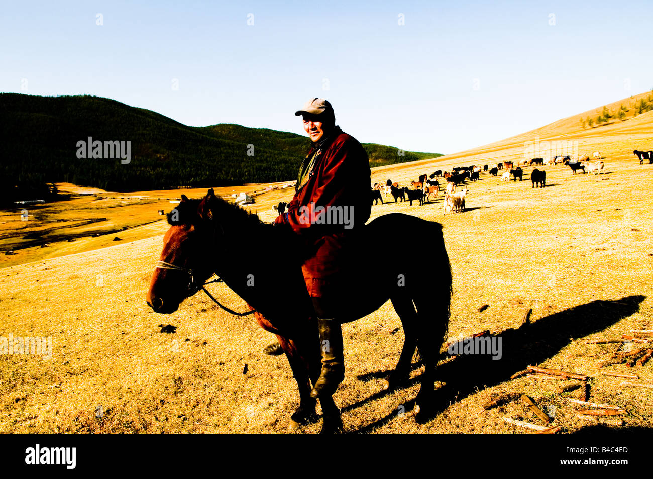 Mongolian nomads in the vast Mongolian grasslands Stock Photo - Alamy