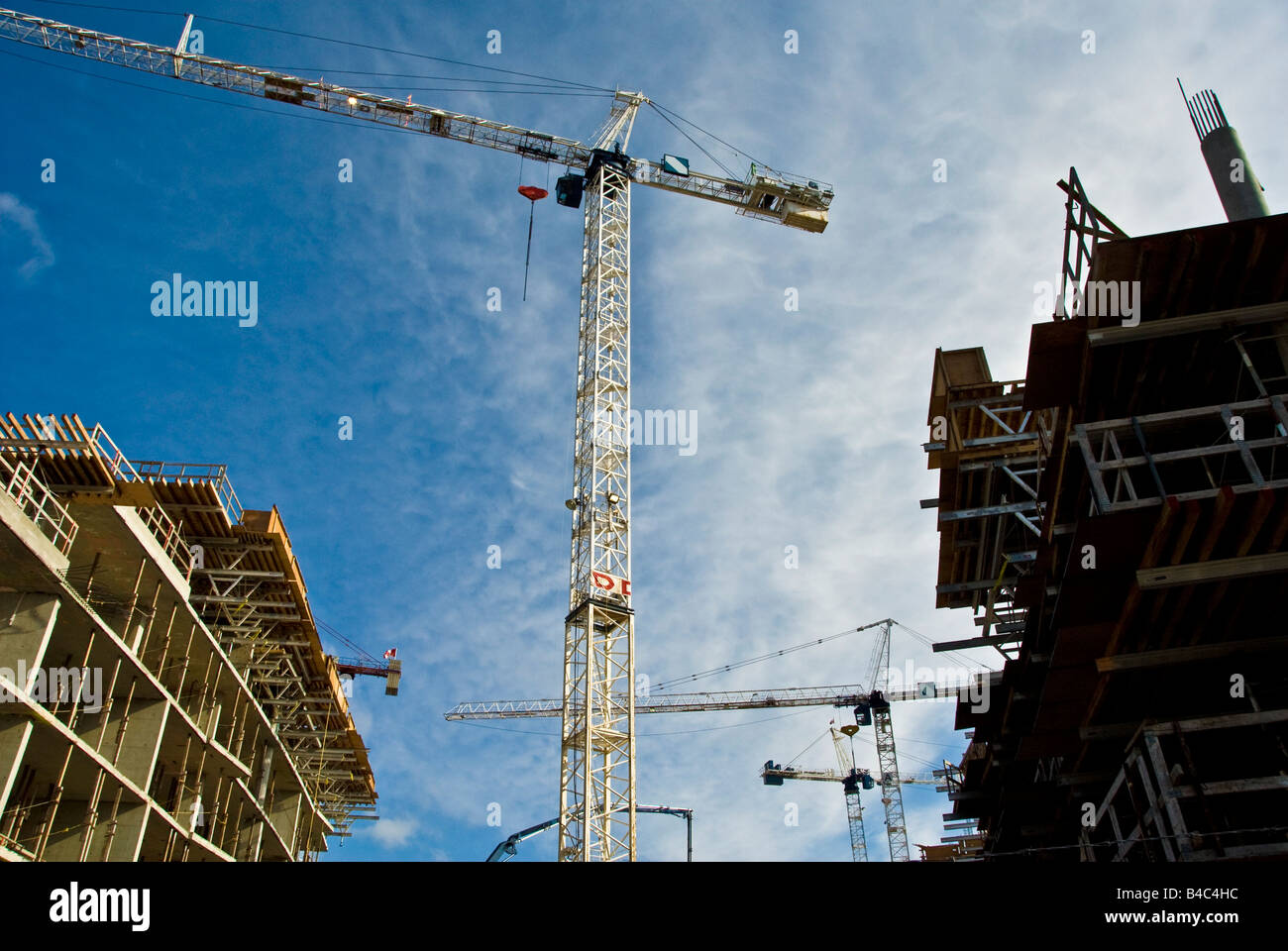 Cranes at work Stock Photo - Alamy