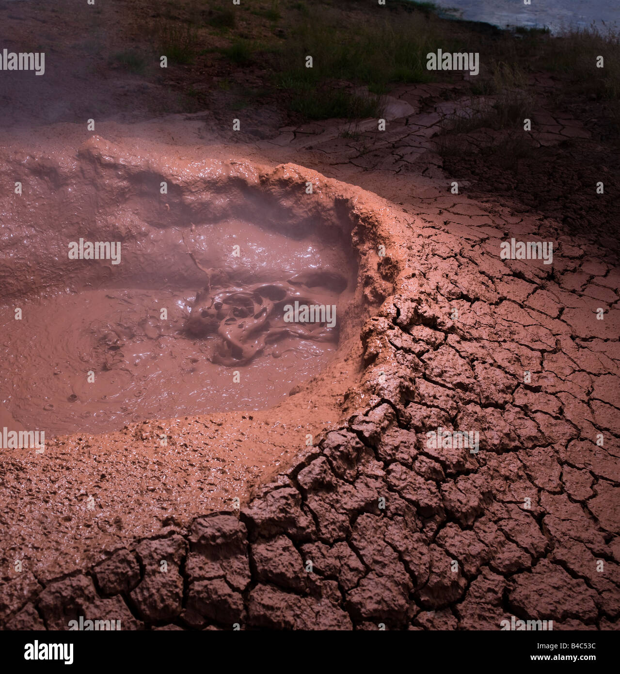 New sprouting geothermal geysers and bore holes from recent earthquake ...