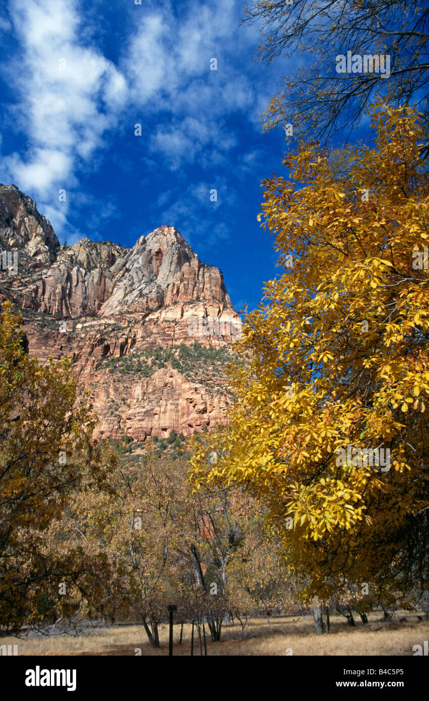 Zion fall colours hi-res stock photography and images - Alamy