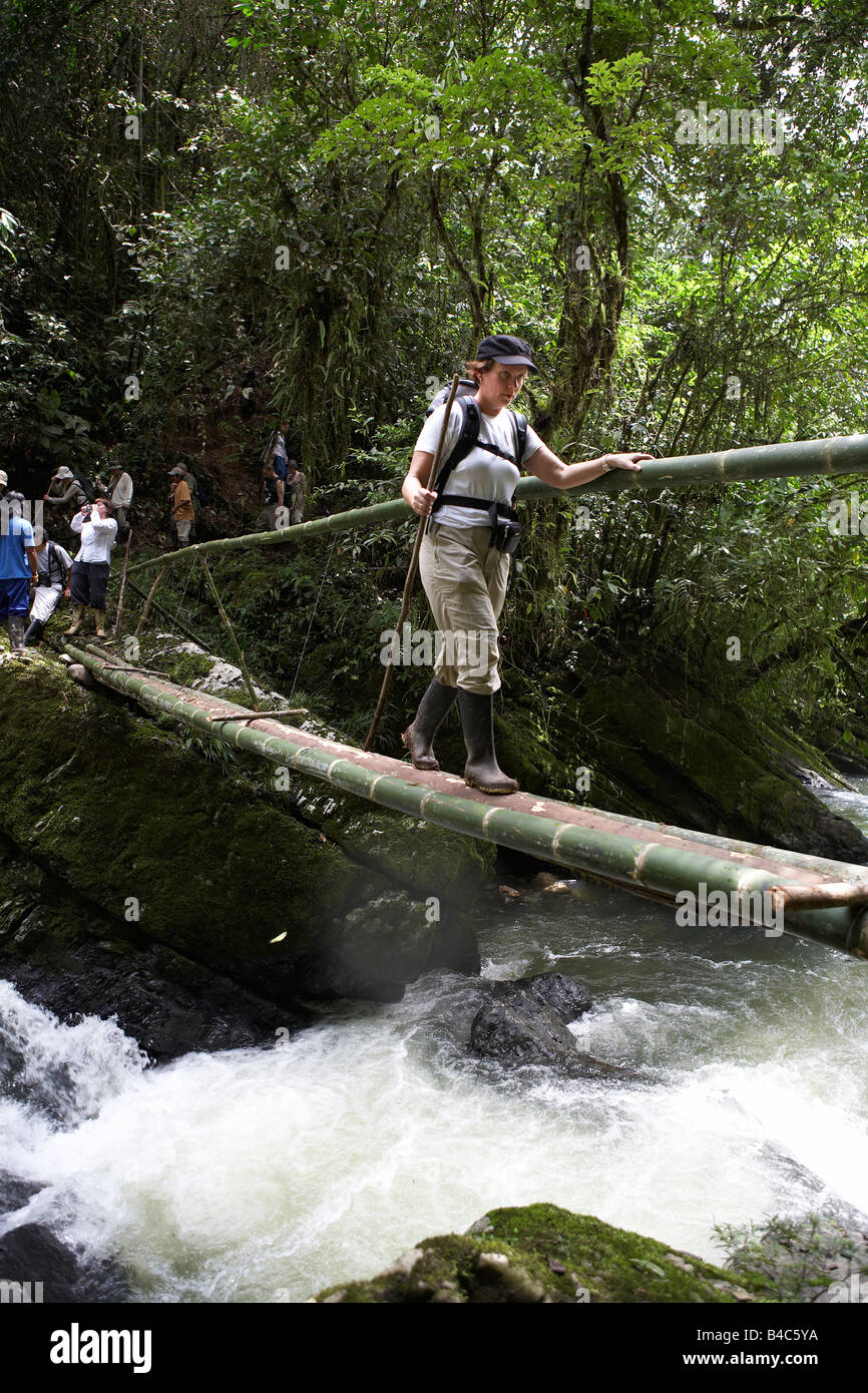 Amazon river tours hi-res stock photography and images - Alamy