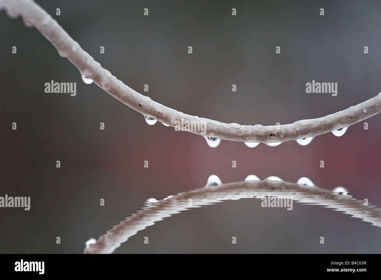 raindrops on cable Stock Photo - Alamy