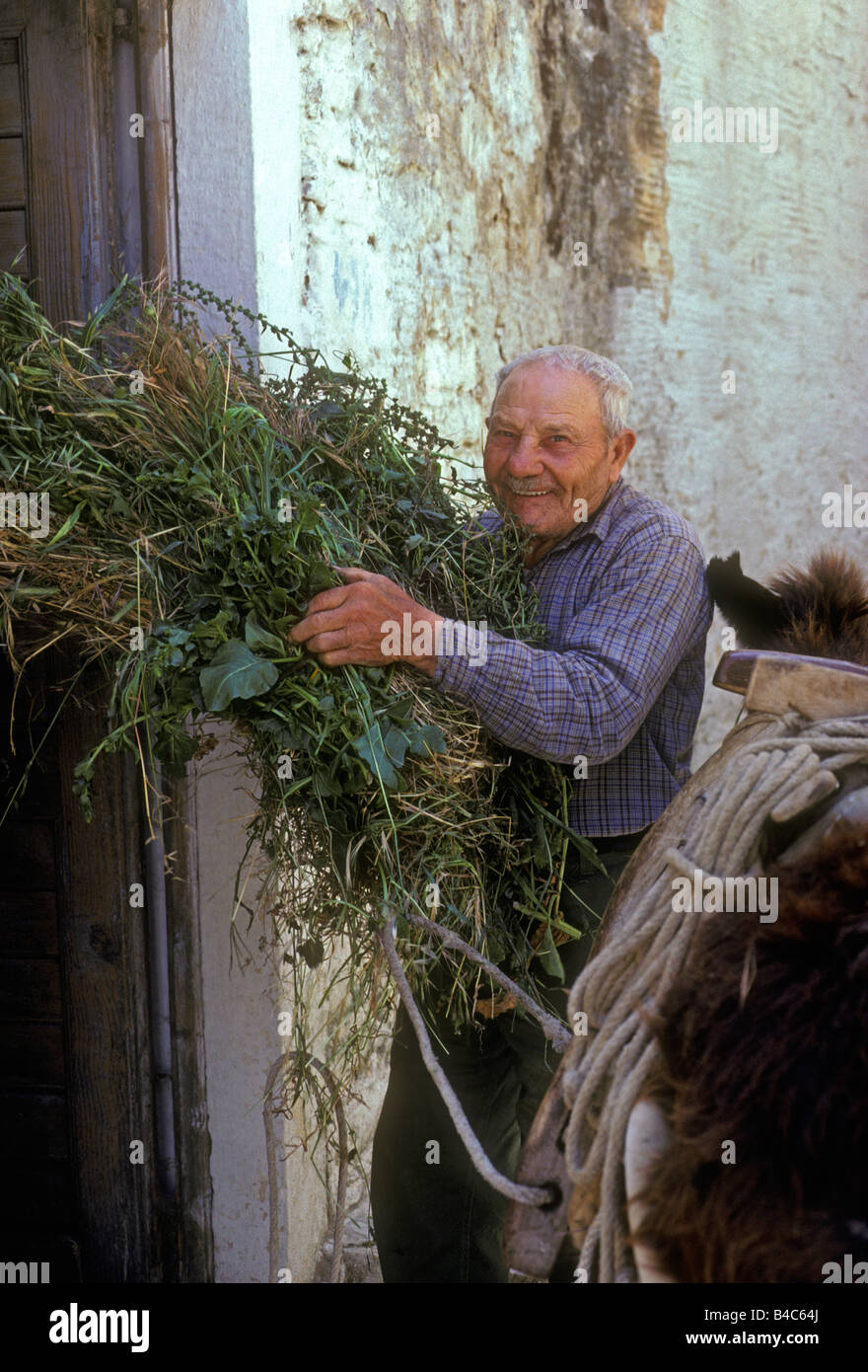 1, one, Greek man, man, elderly man, mature man, adult man, village of ...