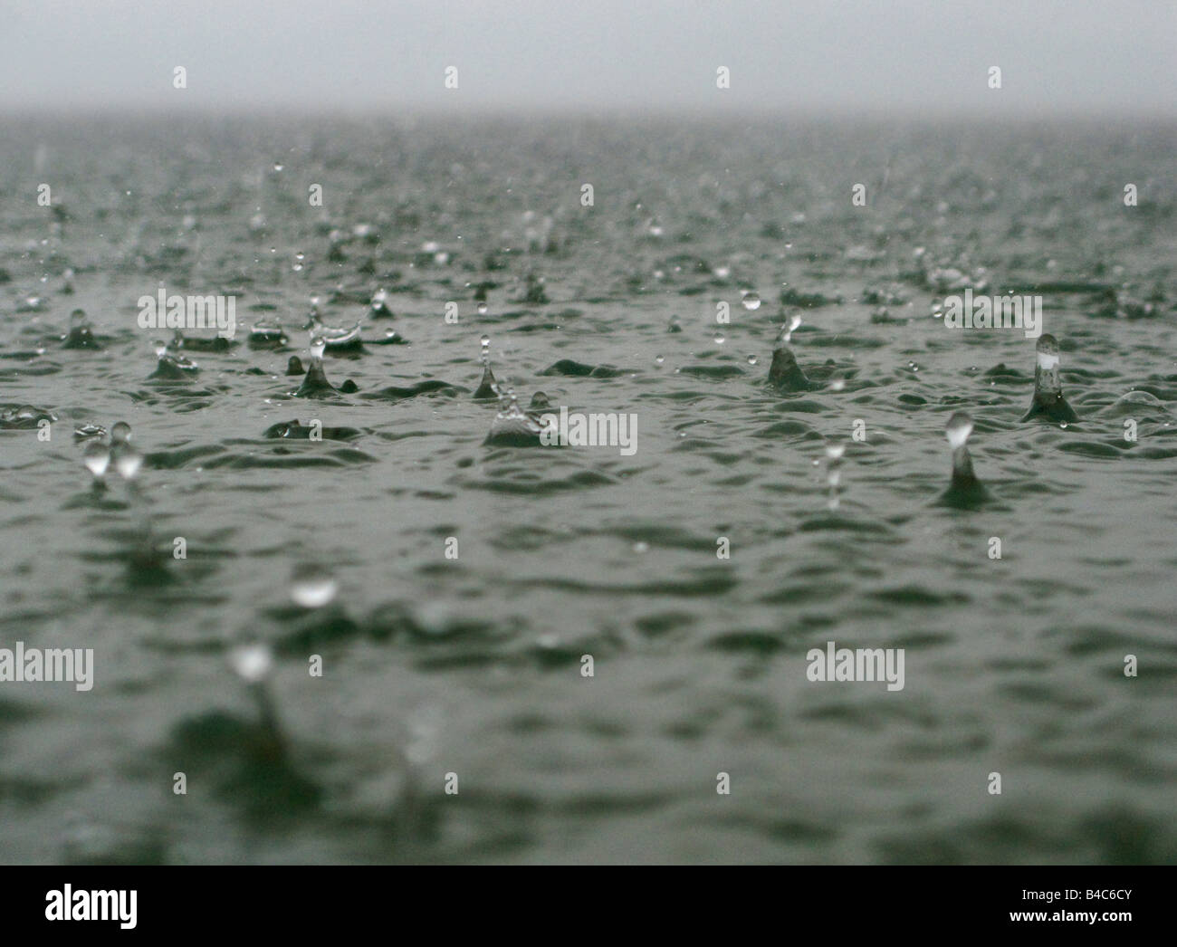 Rain Drops Falling High Resolution Stock Photography and Images - Alamy