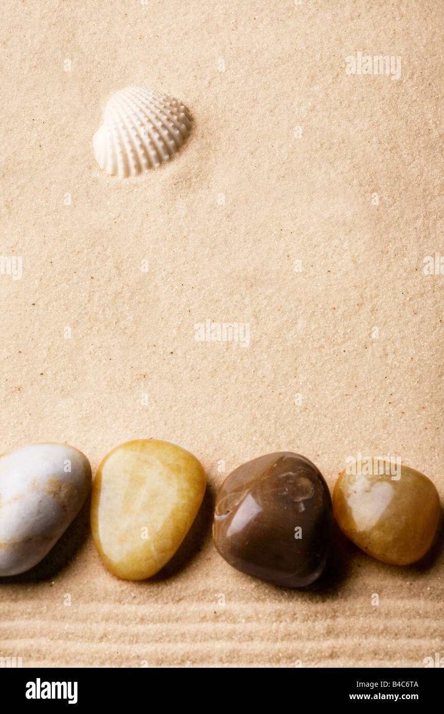 A beach abstract background with sand rocks and a shell Stock Photo - Alamy