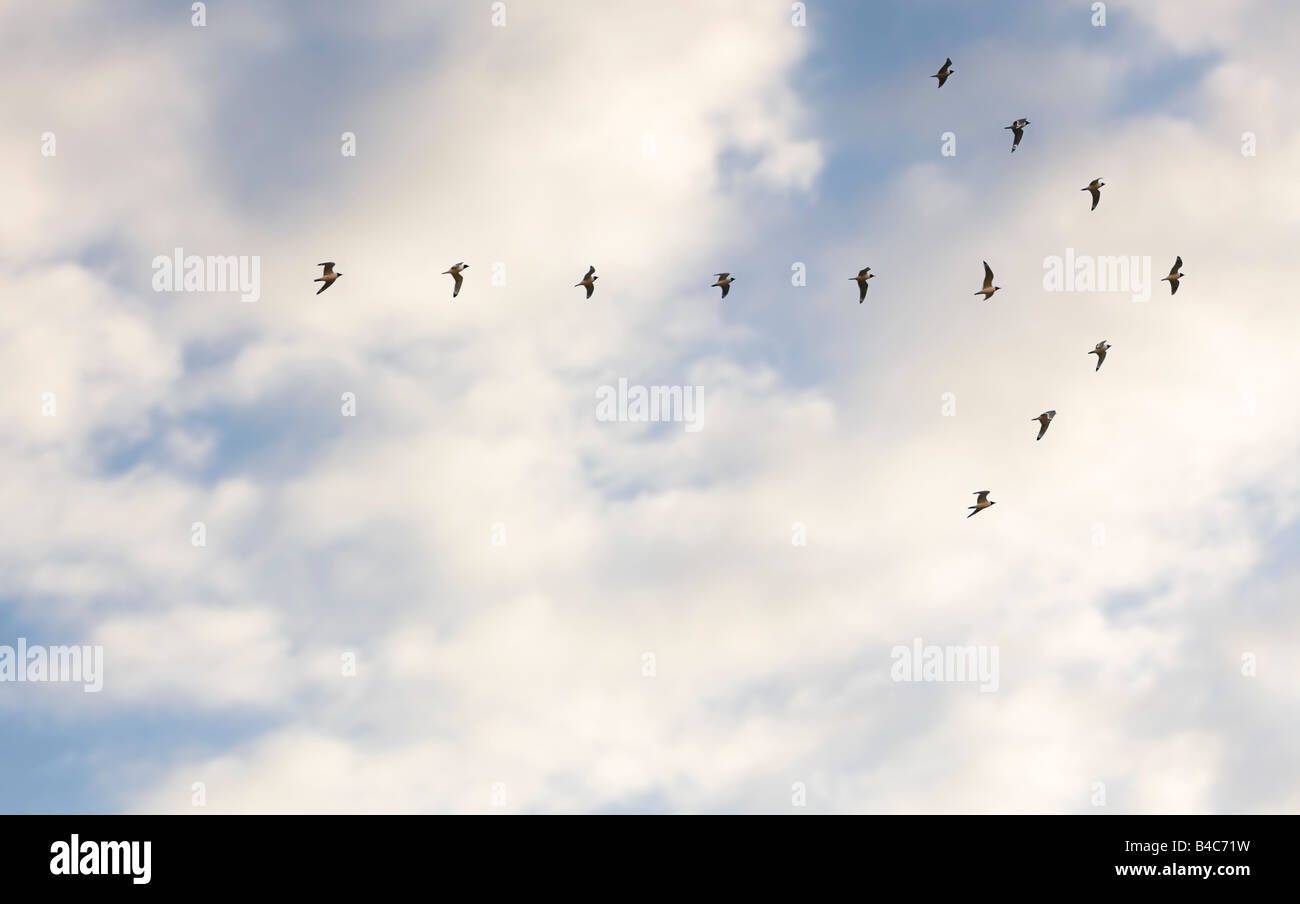 Flying arrow hi-res stock photography and images - Alamy