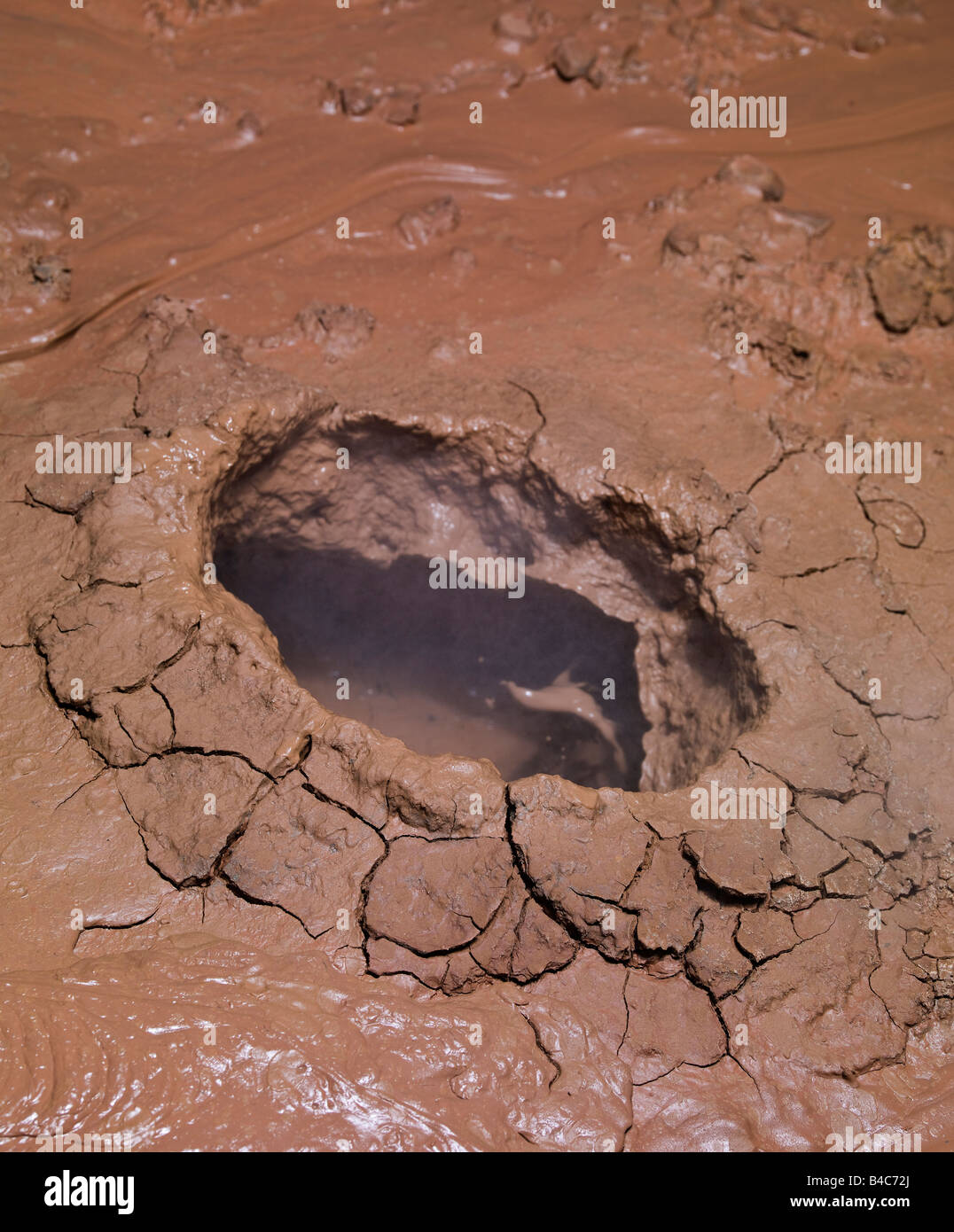 New sprouting geothermal geysers, mud pots and bore holes from recent ...