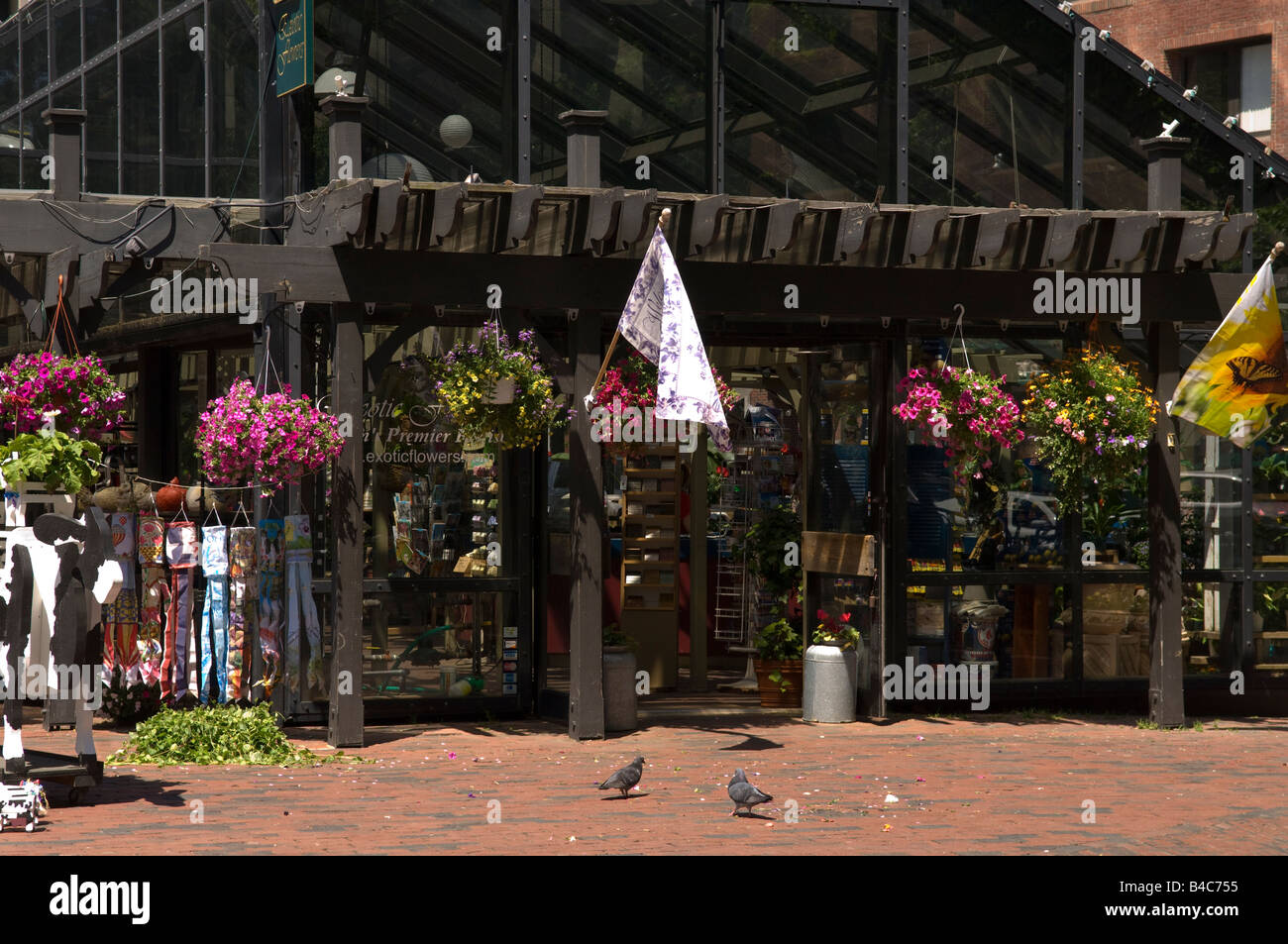 Exotic flower shop in downtown Boston near Faneuil Hall Stock Photo - Alamy