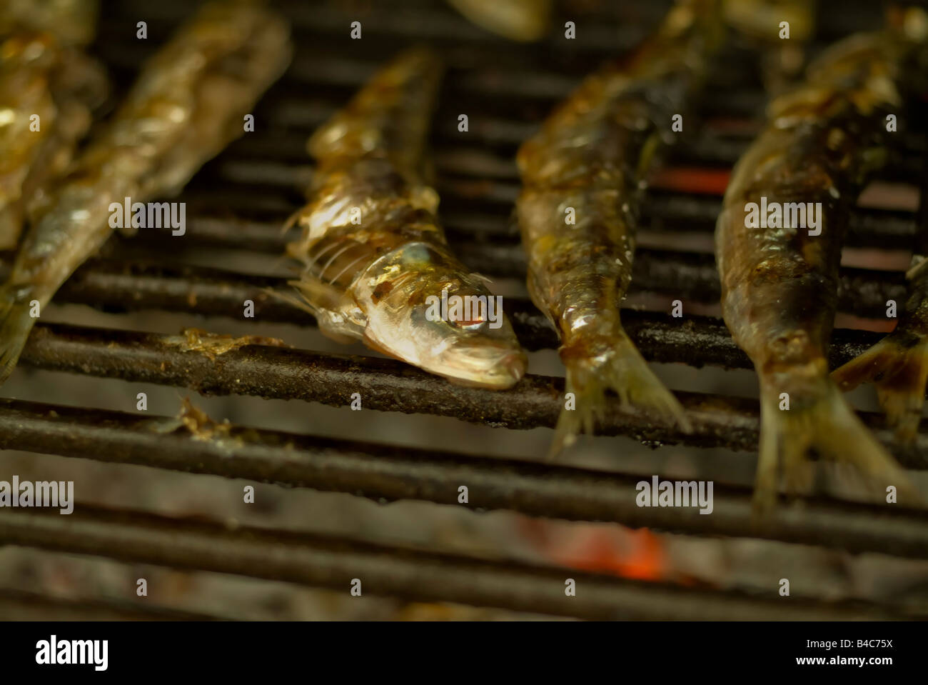 grilled sardines over roasted barbecue grill Stock Photo - Alamy