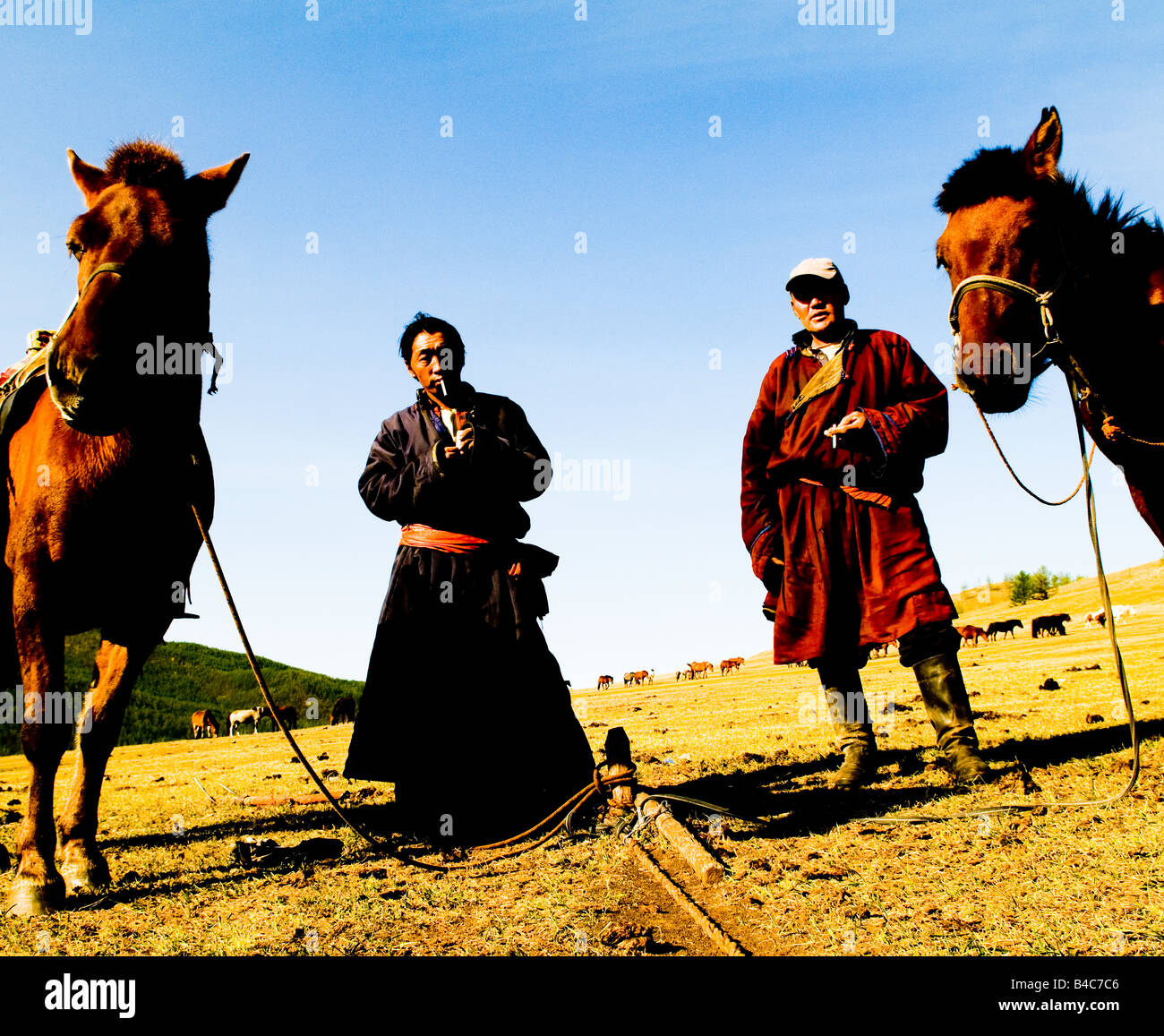 Mongolian nomads in the vast Mongolian grasslands Stock Photo - Alamy