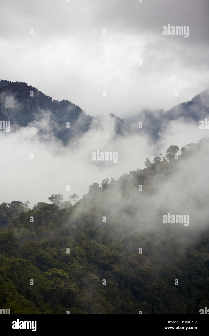 Clouds and Fog, Amazon Rain Forest, Ecuador Stock Photo - Alamy