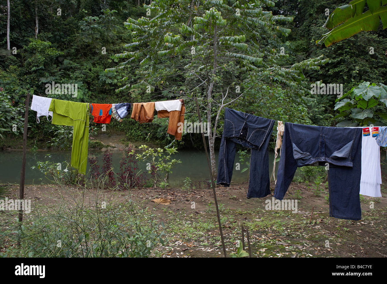 Laundry trees hi-res stock photography and images - Alamy