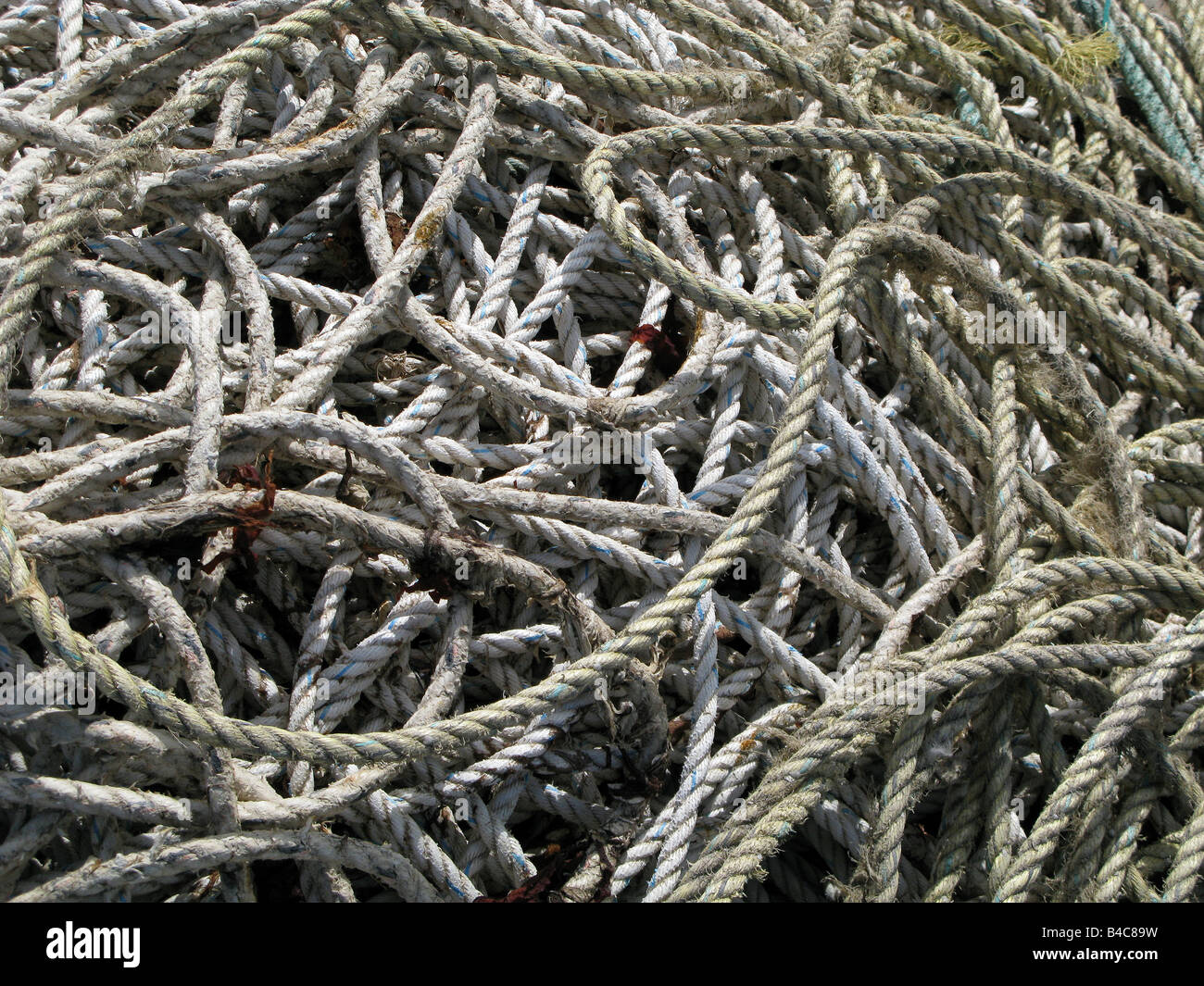 pile of old white fishing rope Stock Photo - Alamy