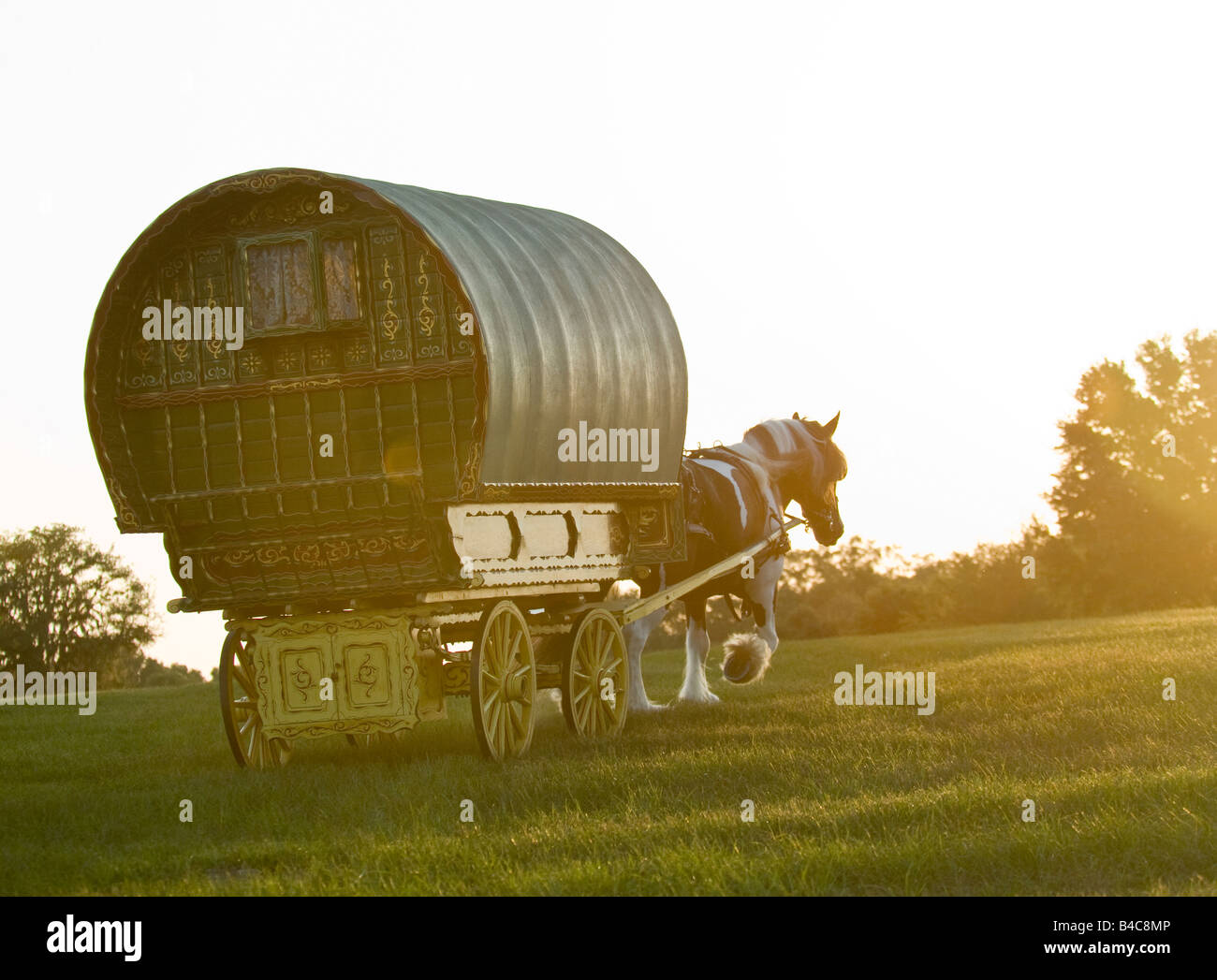 Gypsy caravan or living wagon pulled by Gypsy Vanner horse Stock Photo ...
