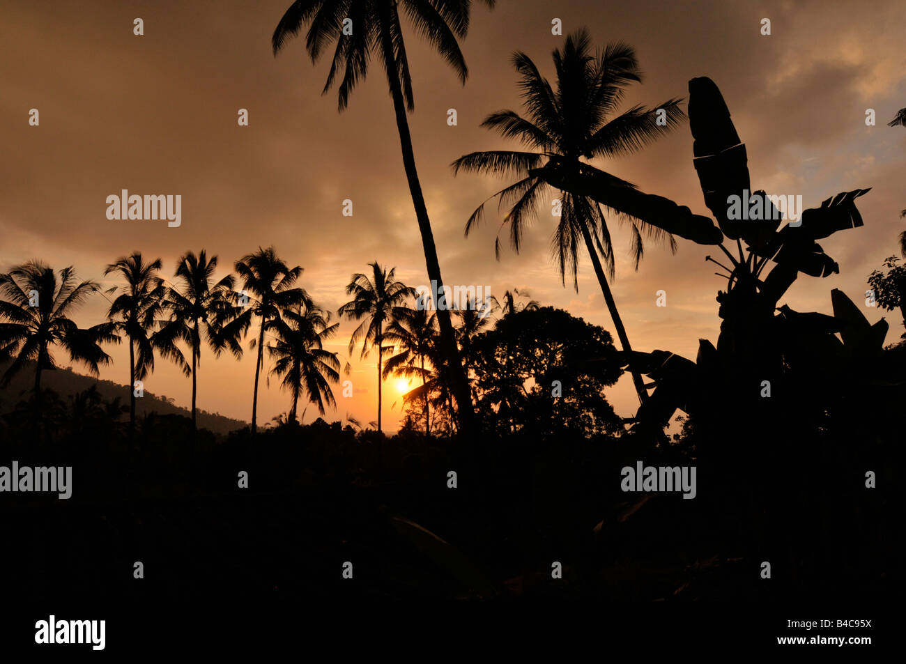 Bebetin hi-res stock photography and images - Alamy