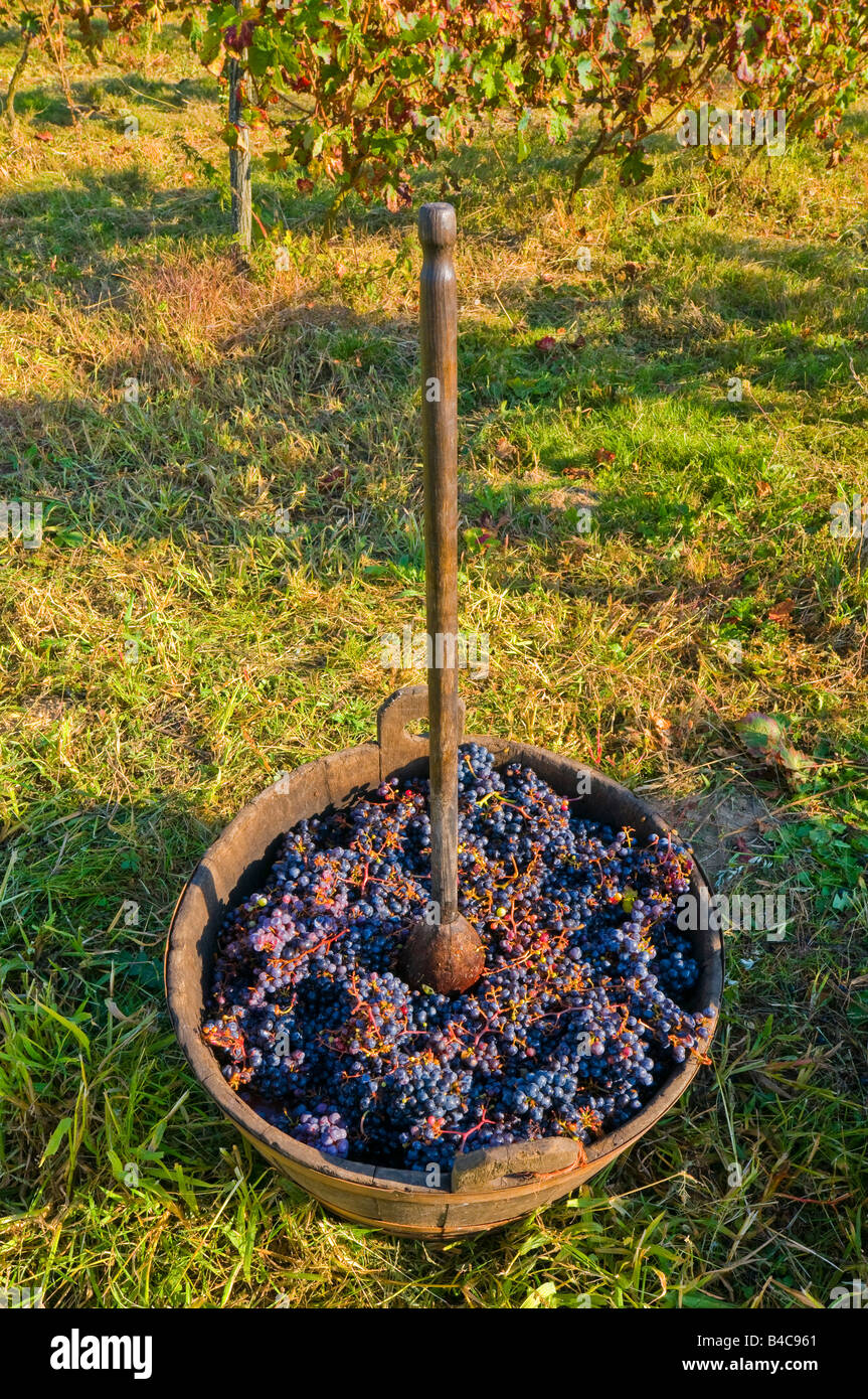 Mashing in hi-res stock photography and images - Alamy