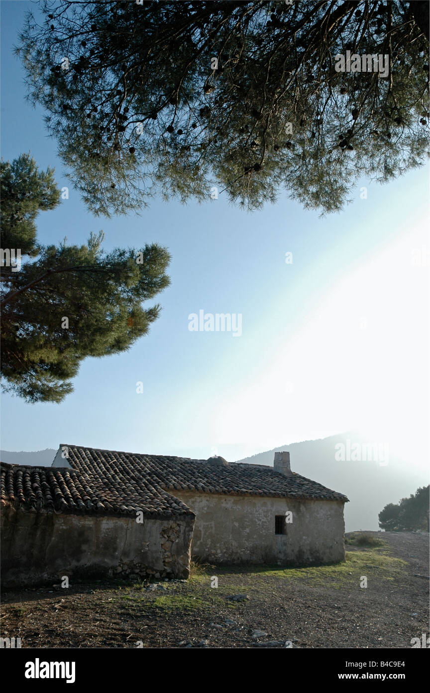 Old abandonded building in rural Spain with pine trees Stock Photo - Alamy