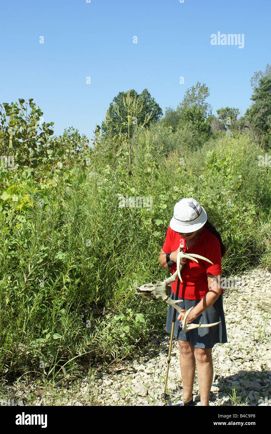 Skull walking stick hi-res stock photography and images - Alamy