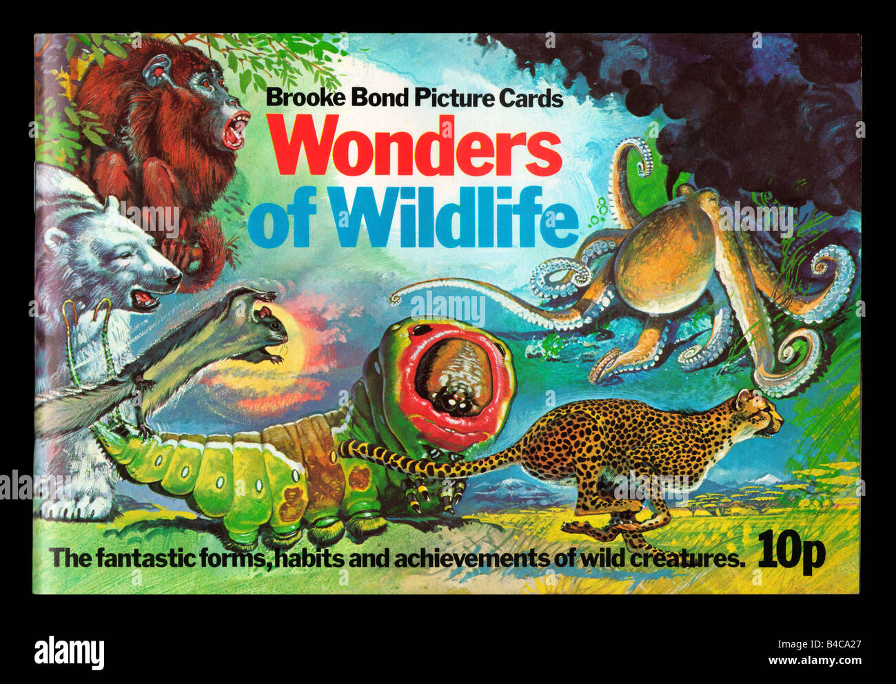 Brooke bond tea cards hi-res stock photography and images - Alamy