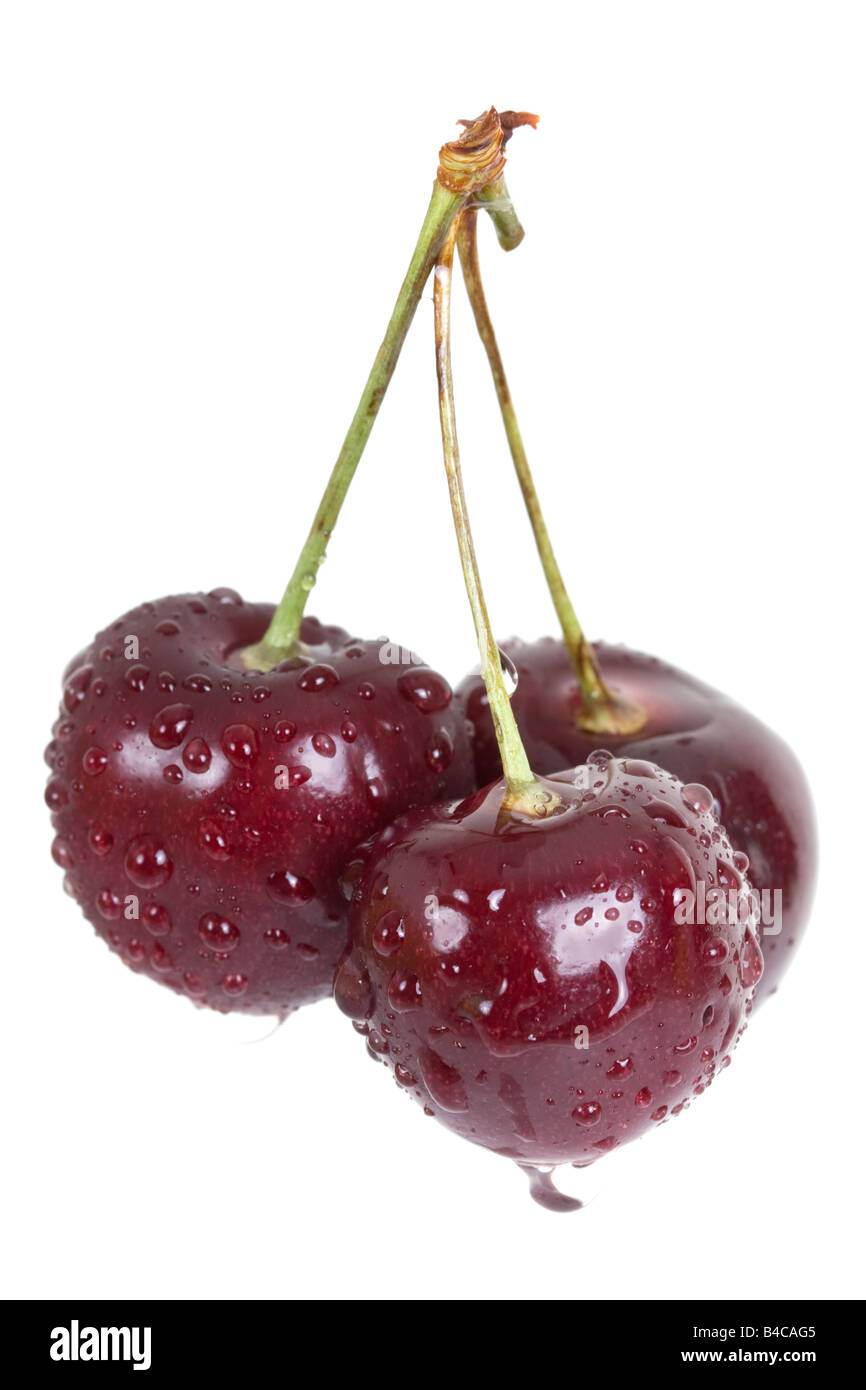 Fresh black cherries macro on a white background Stock Photo - Alamy