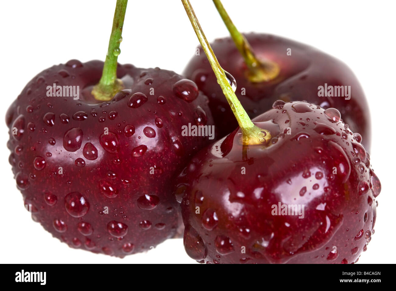 Fresh black cherries macro on a white background Stock Photo - Alamy