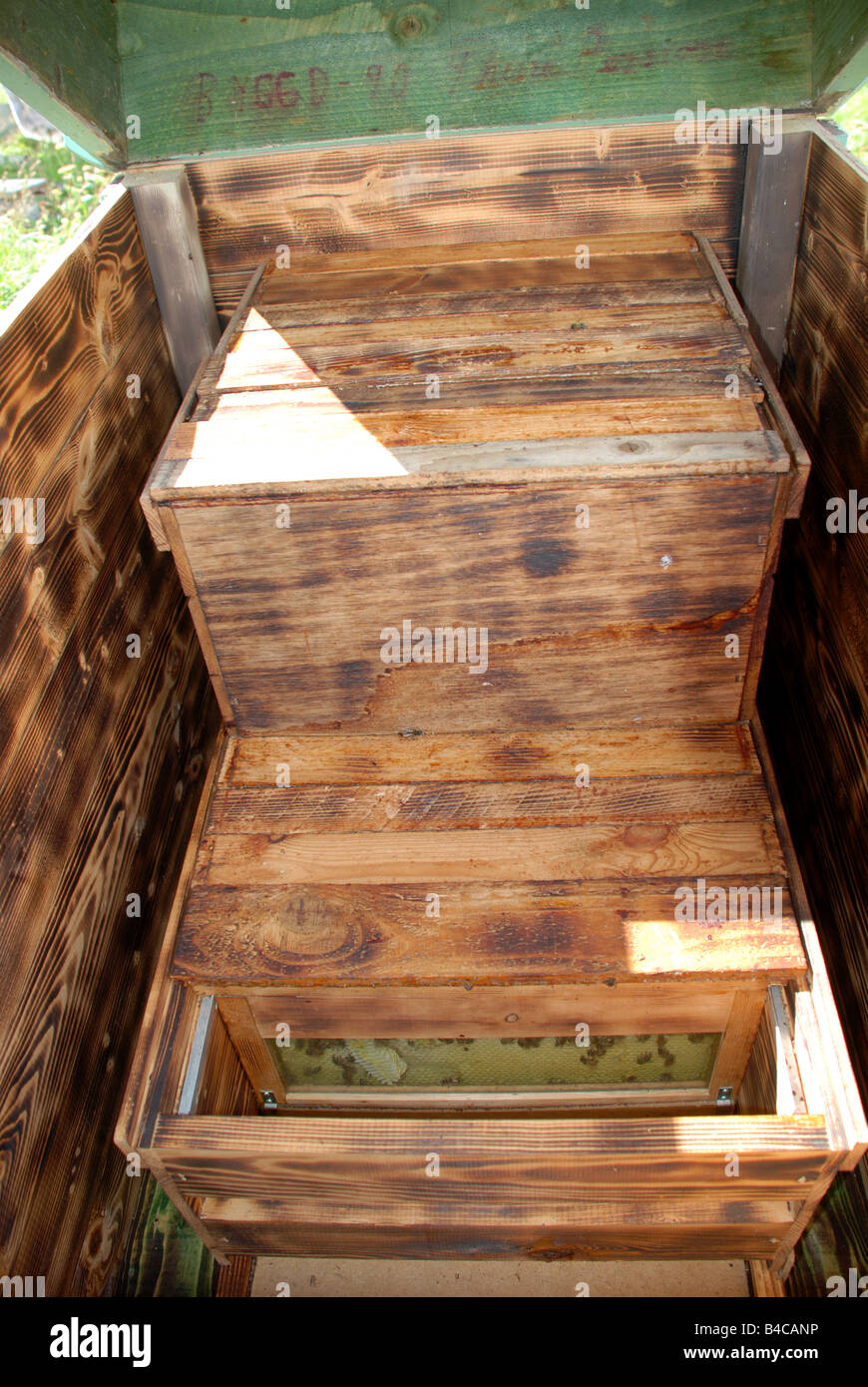 Inside bee hive hi-res stock photography and images - Alamy