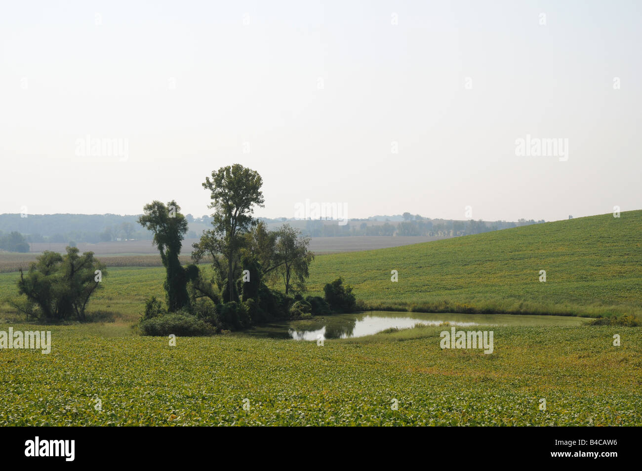 Farm scenes in rural Illinois USA Stock Photo - Alamy