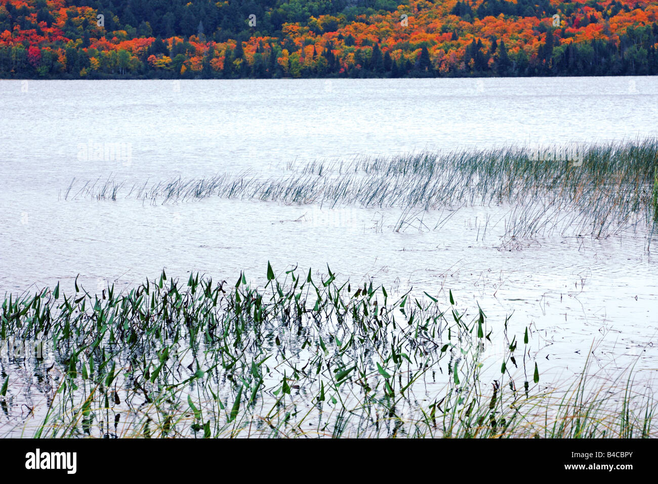 Two rivers hi-res stock photography and images - Alamy