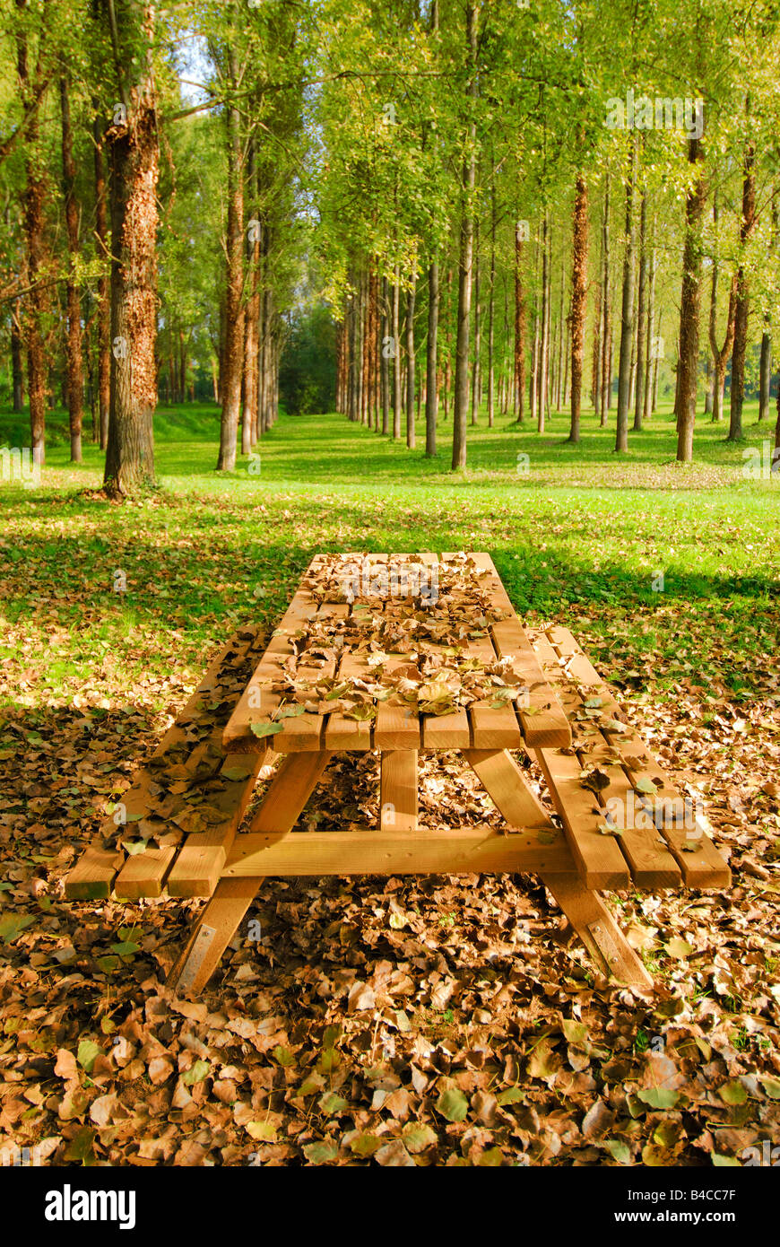 Picnic table in autumn Stock Photo - Alamy