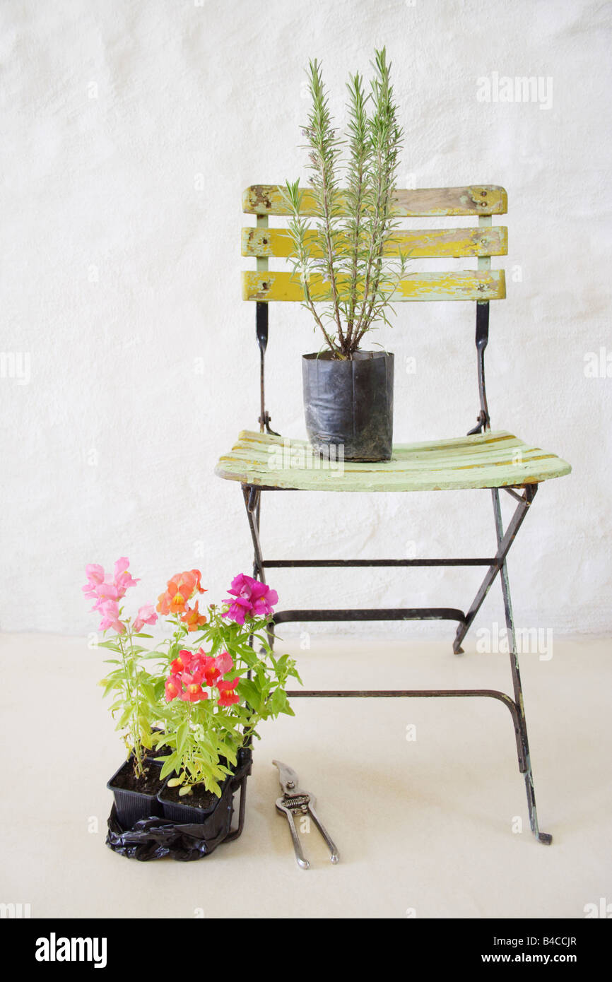 Coloured chair hi-res stock photography and images - Alamy